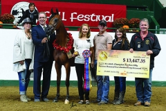 Minnesota Arabian Horse Breeders – Take a Chance, Have a Chance, Win A ...